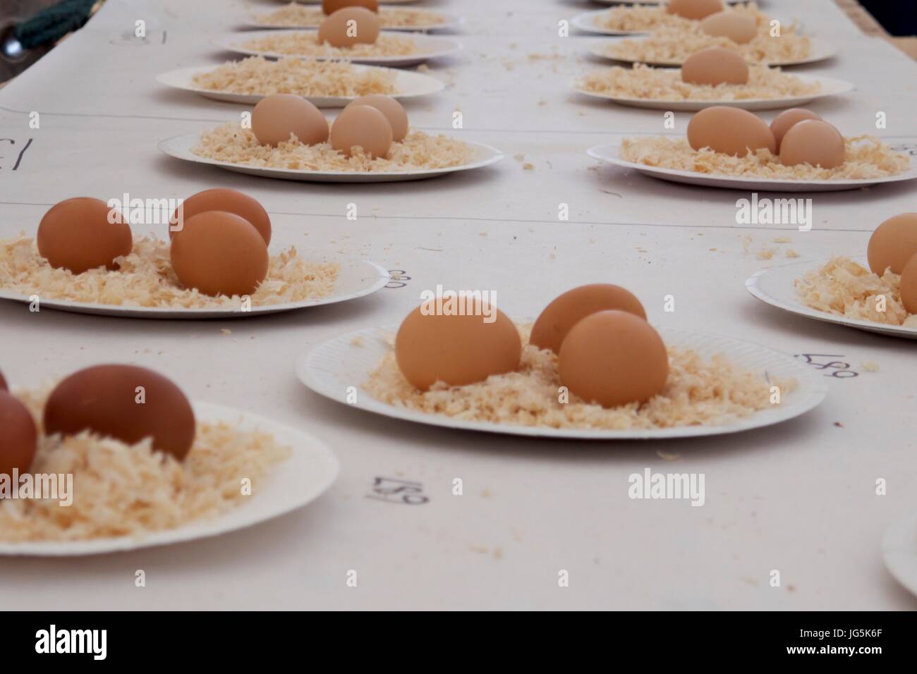 Rows of plated brown eggs in judging tent at Malton Show, Malton, North ...
