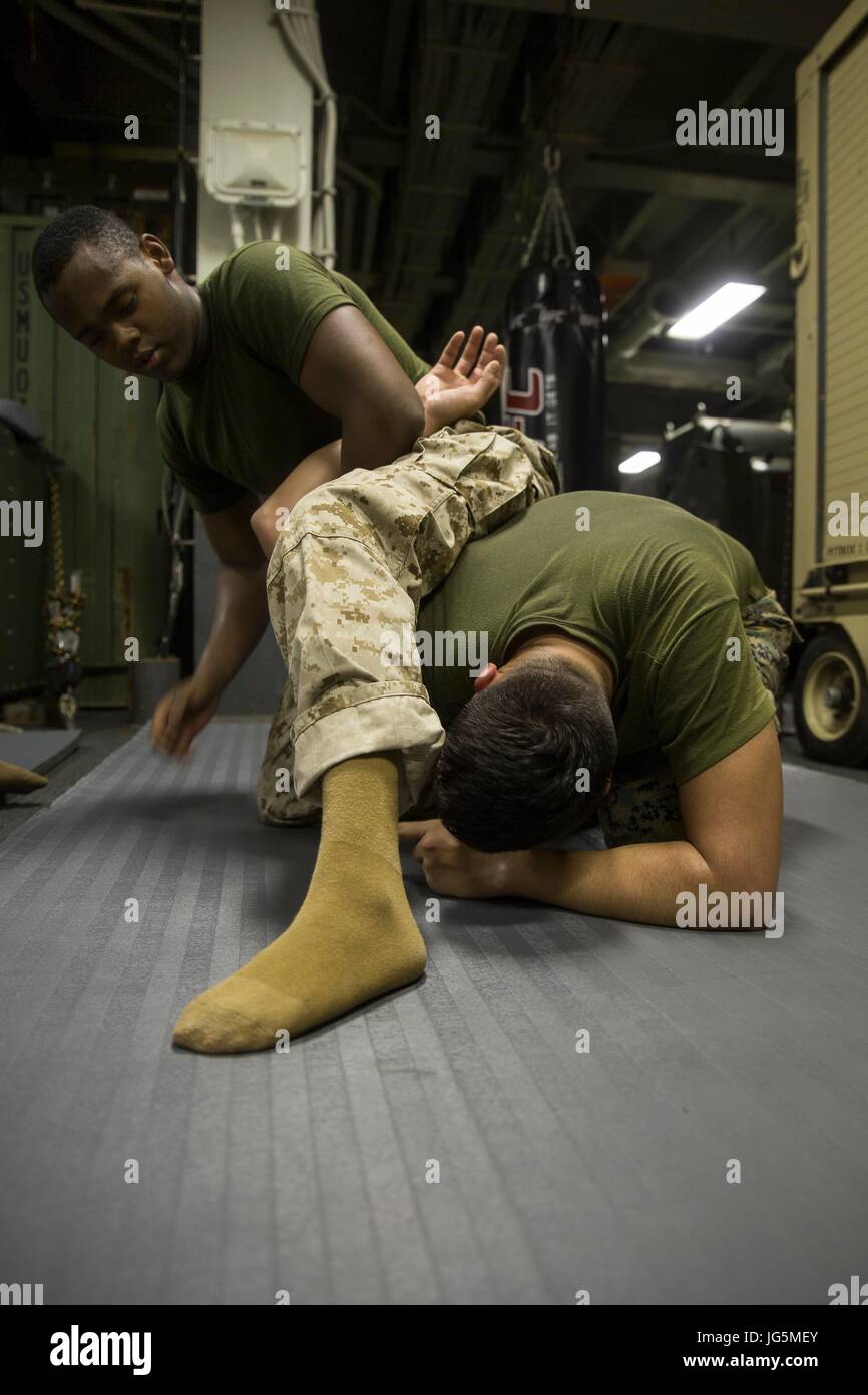 Sgt. Christopher Loychik, a Marine Corps Martial Arts Program ...