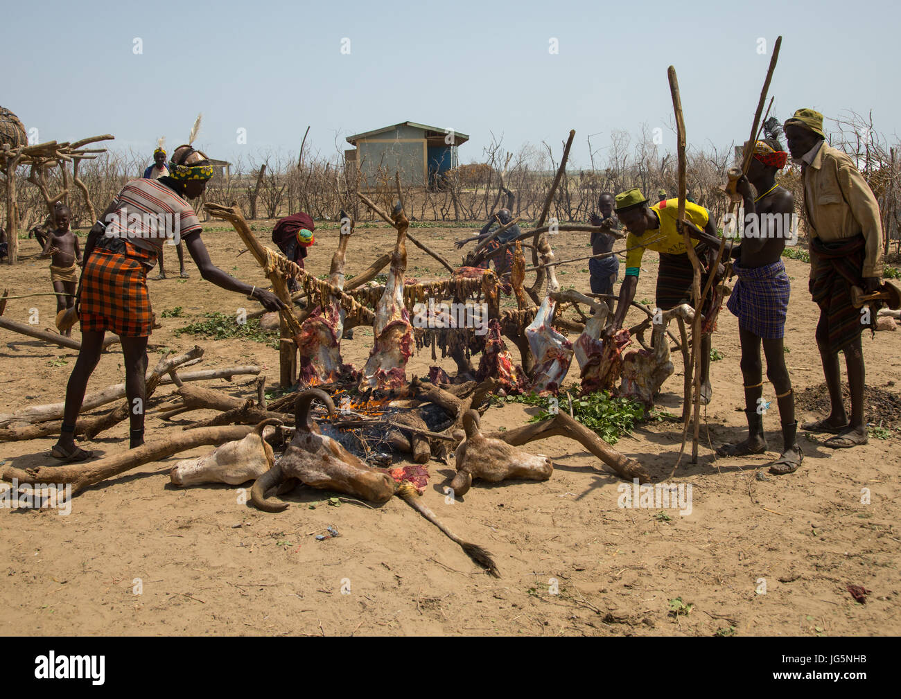 Tribe people cooking a cowduring the proud ox ceremony in the Dassanech ...