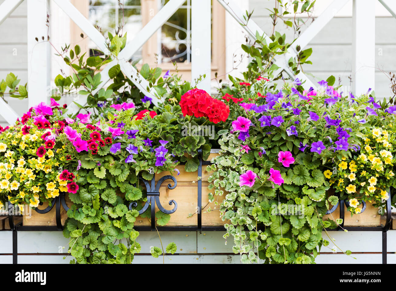 Geranium flower boxes hi-res stock photography and images - Alamy