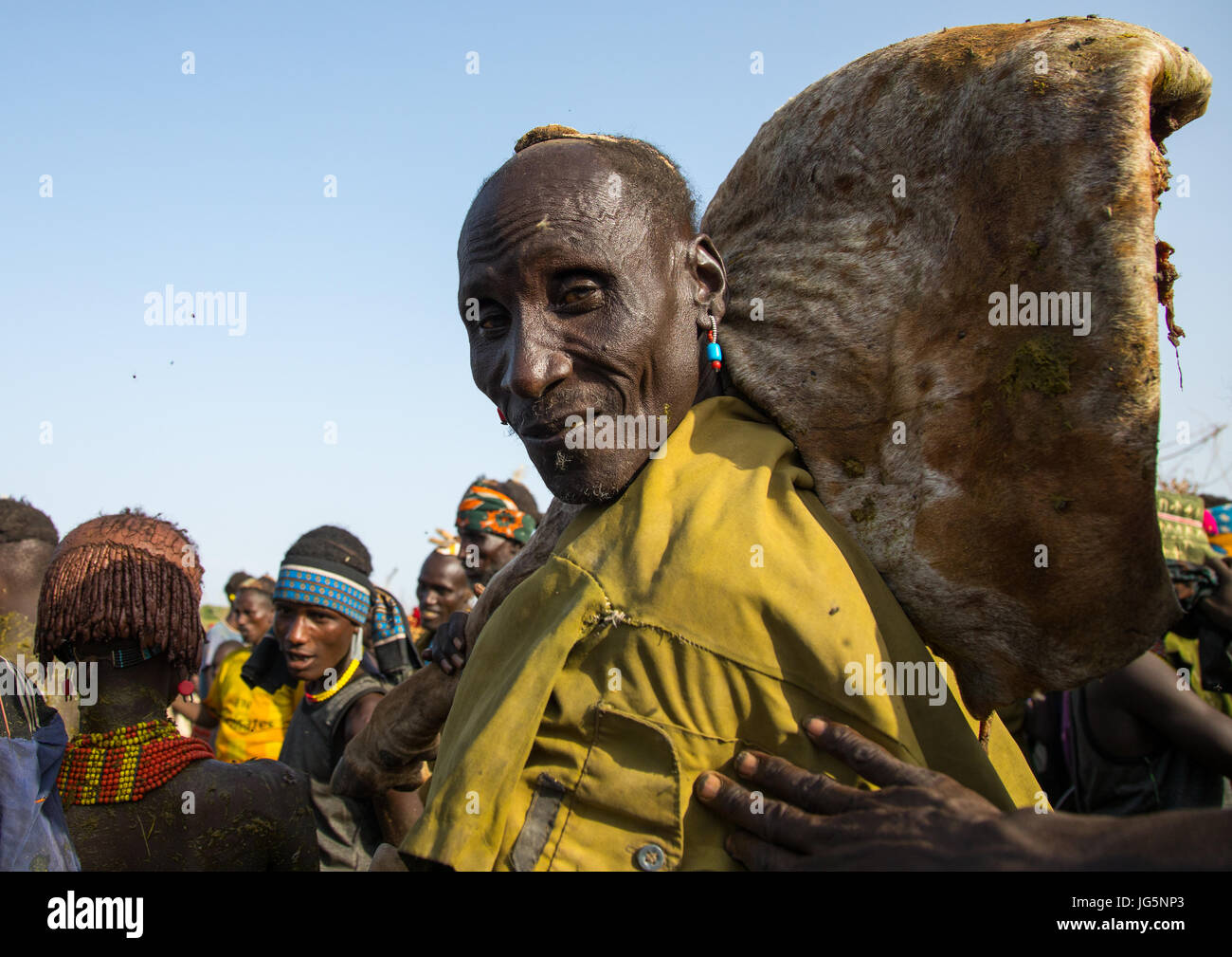 Old man carrying a big piece of cow meat during the proud ox ceremony ...