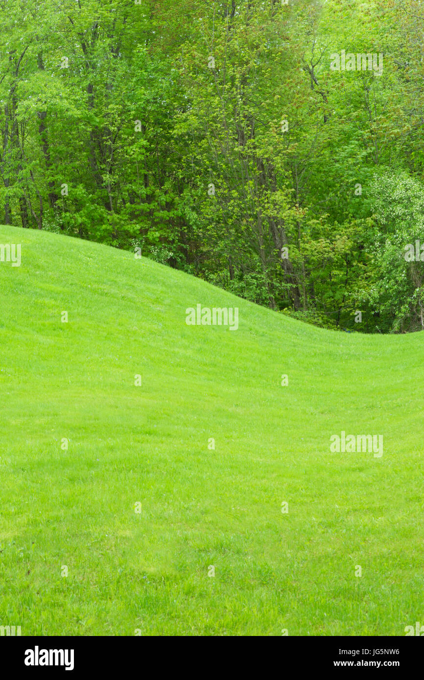 Grass field with rolling green hill and trees Stock Photo - Alamy