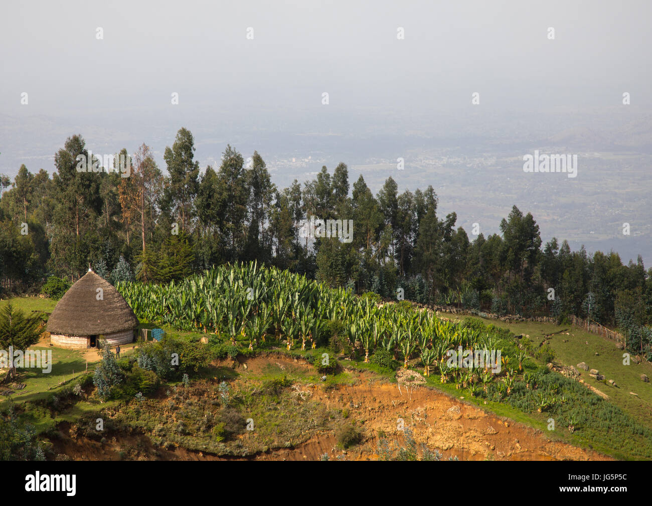 Gurage house in the mountain, Gurage Zone, Butajira, Ethiopia Stock ...