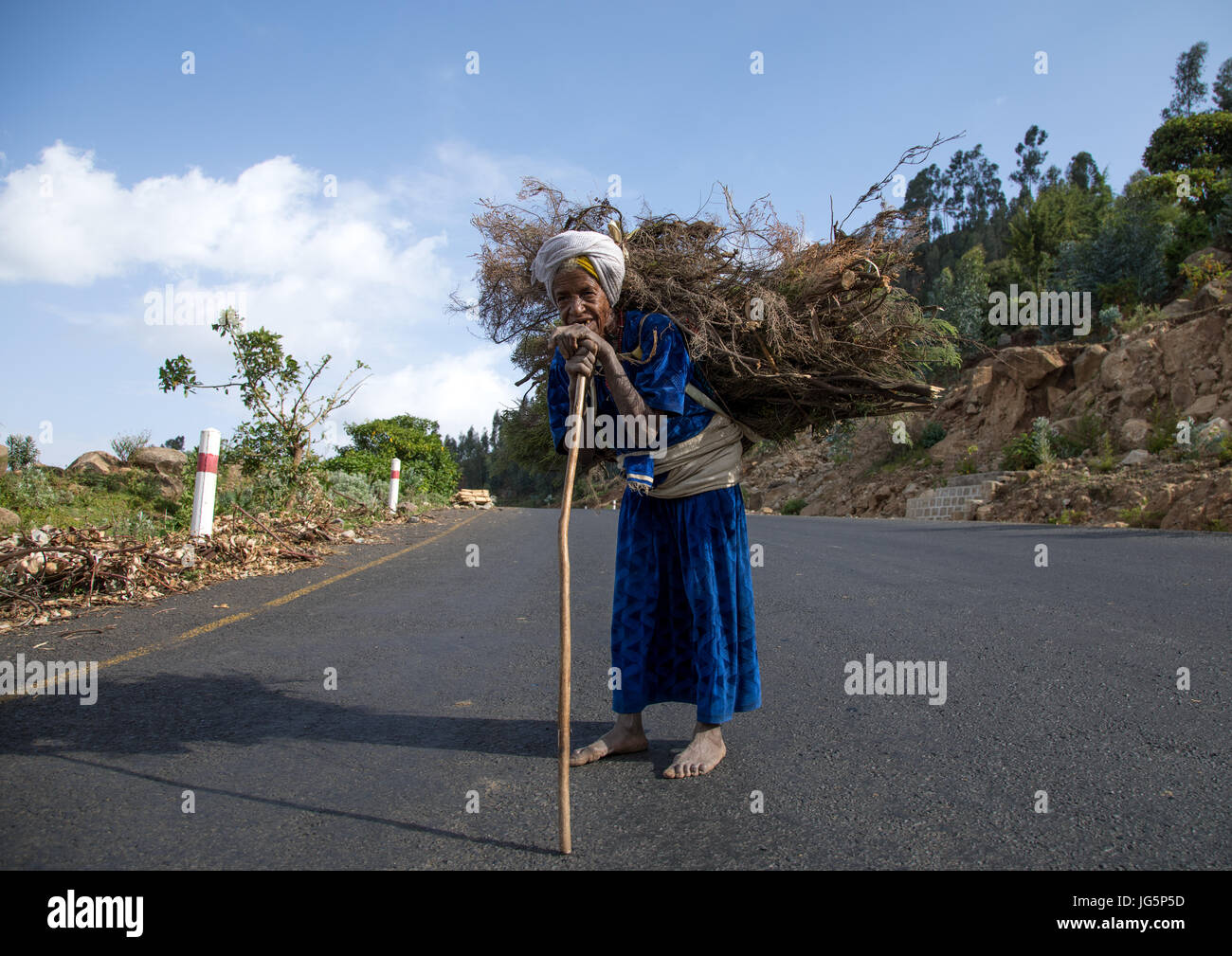 Od Gurage tribe woman carrying some wood on her back, Gurage Zone ...