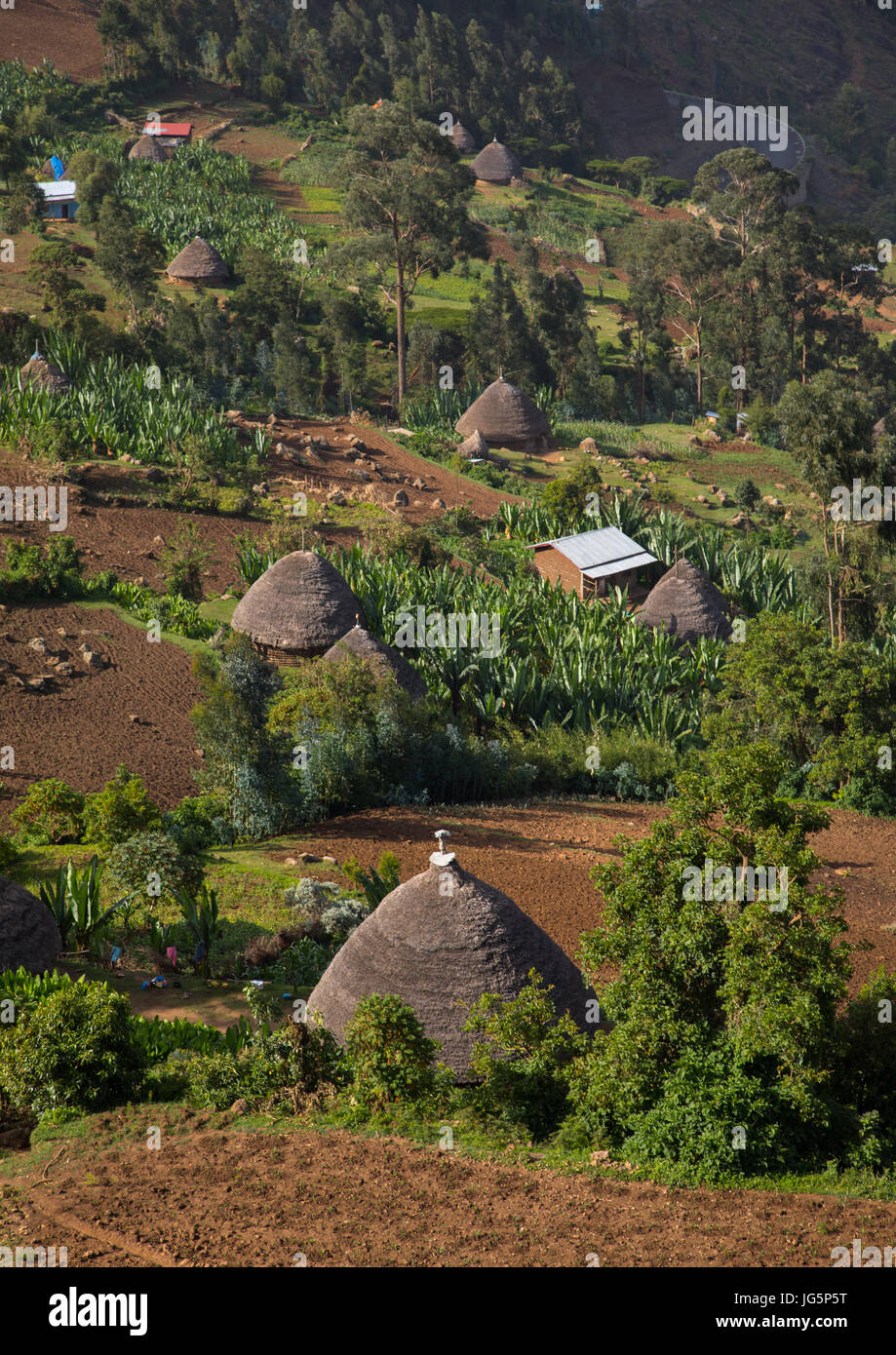 Gurage zone hi-res stock photography and images - Alamy