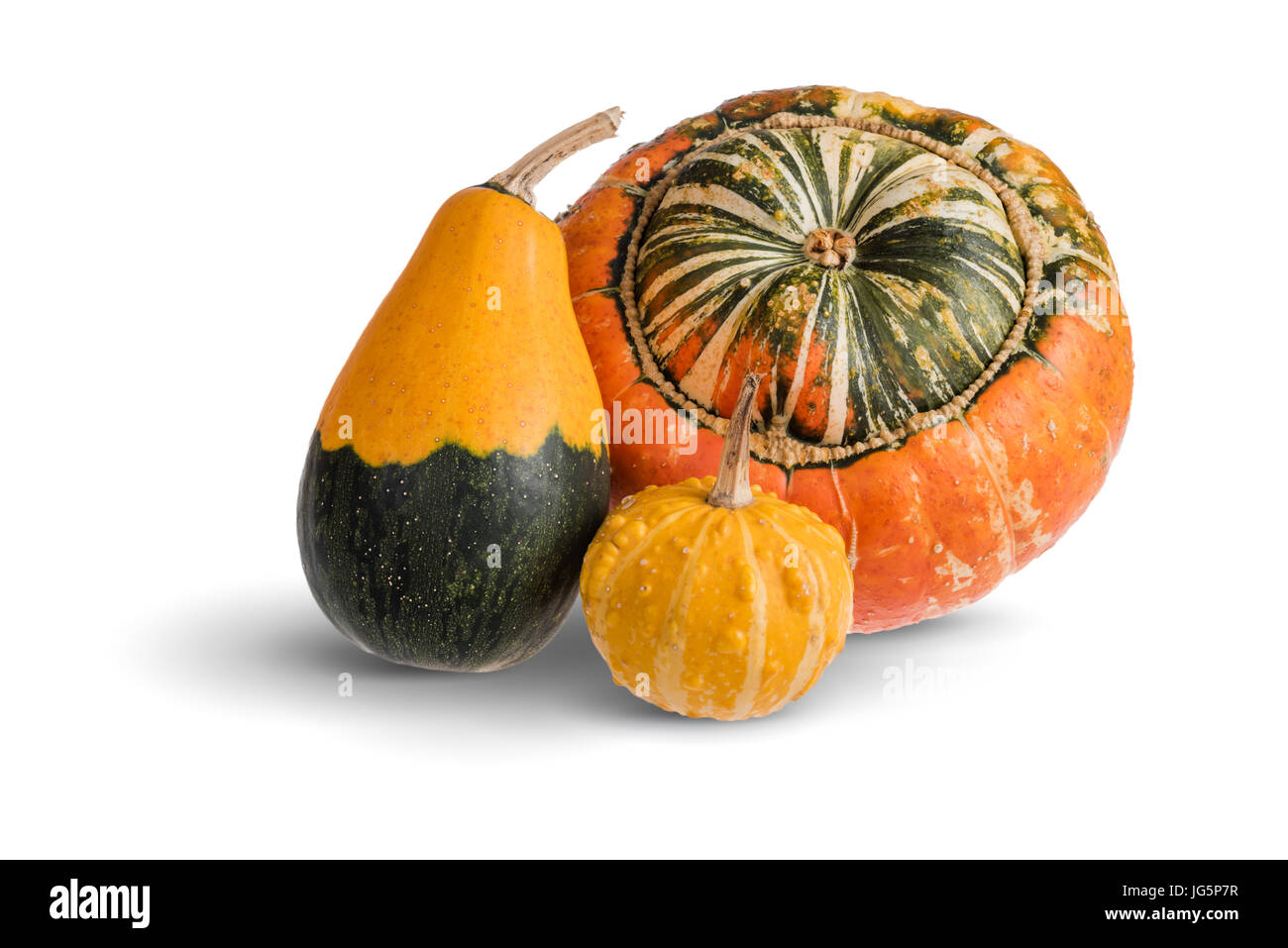 A variety of pumpkin and calabash fruits isolated on a white background ...