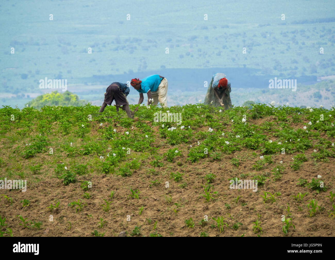 Gamo Gofa High Resolution Stock Photography and Images - Alamy