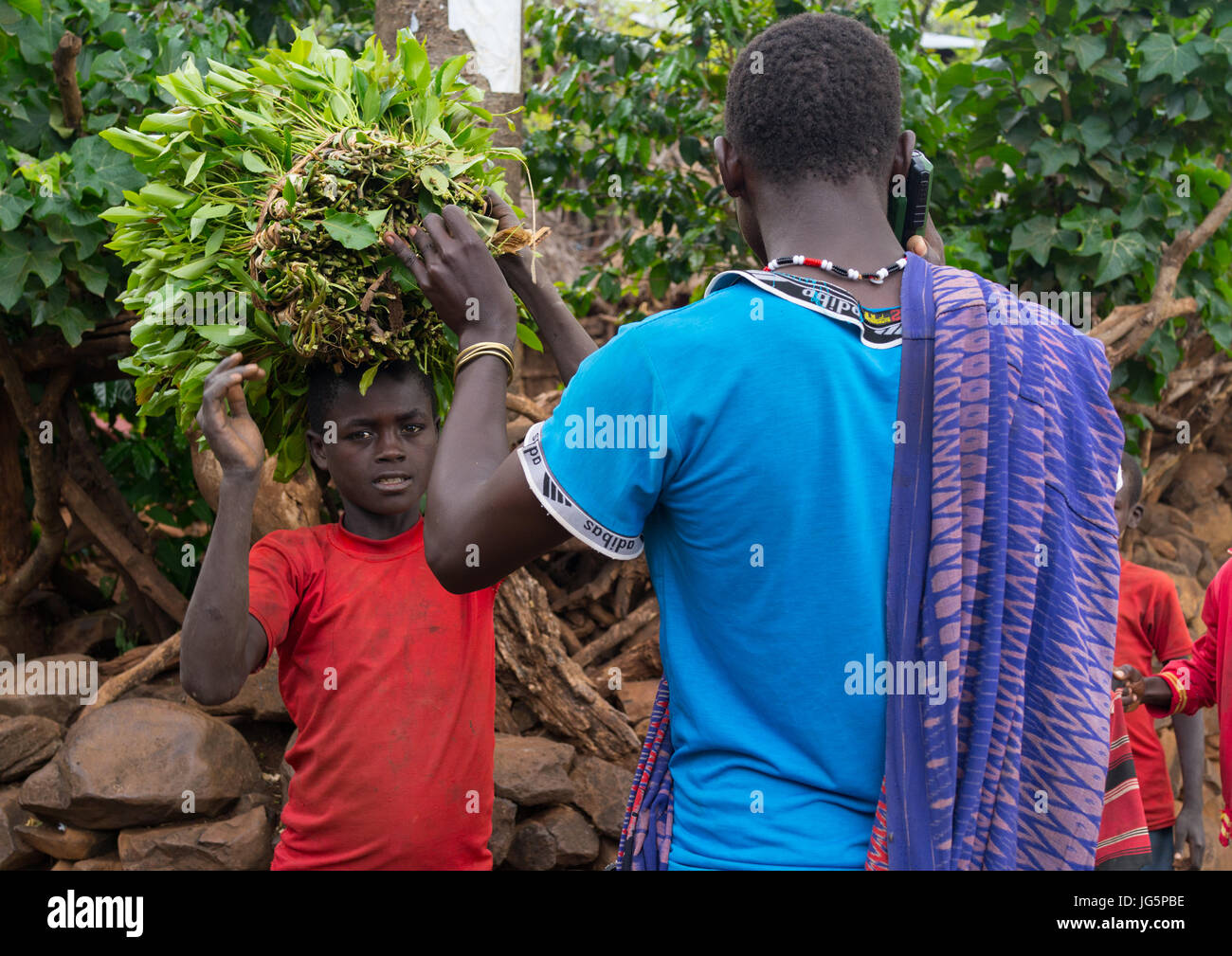 Konso tribe people collecting khat, Omo valley, Konso, Ethiopia Stock ...