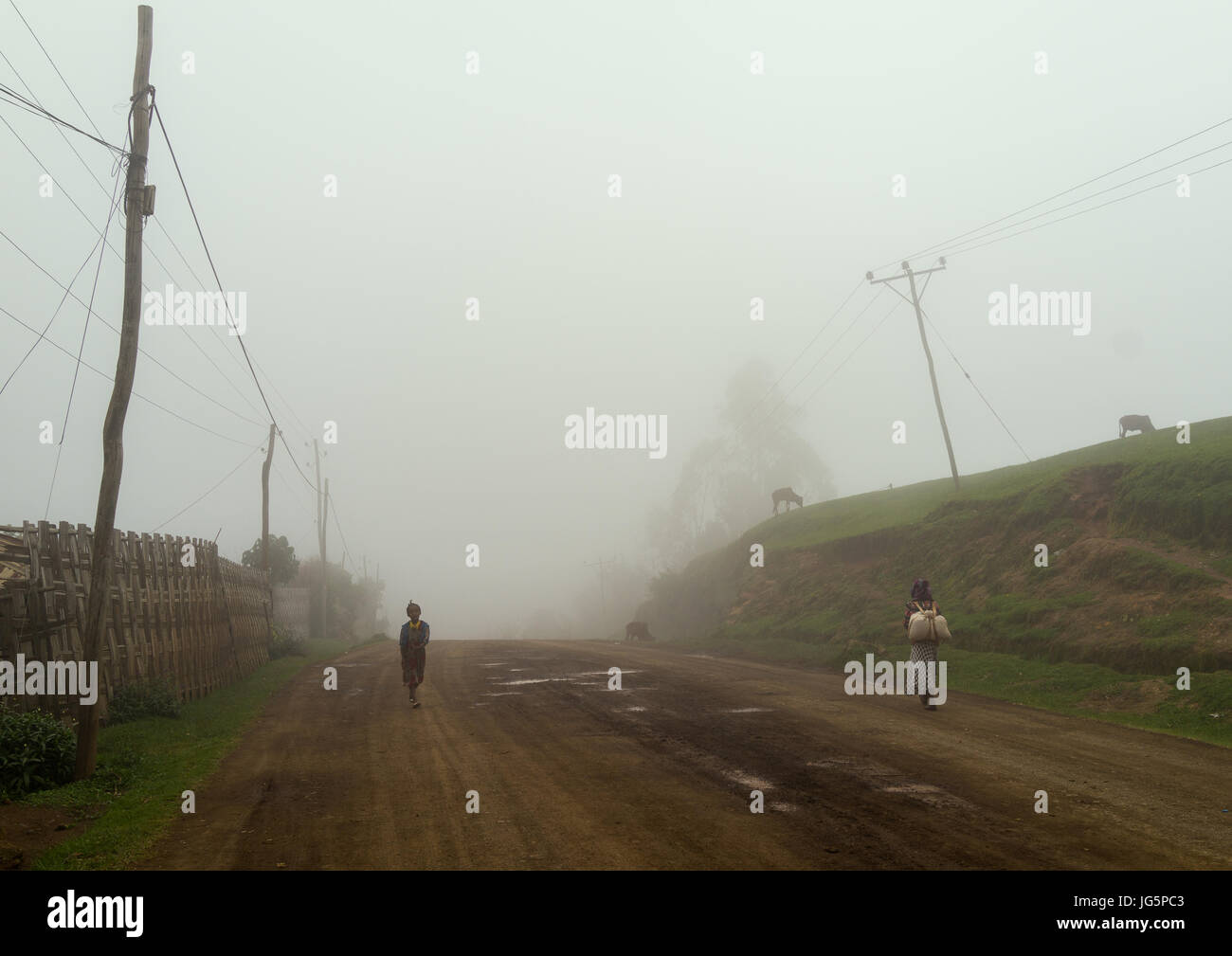 Foggy weather in the Dorze mountains, Gamo Gofa Zone, Gamole, Ethiopia ...