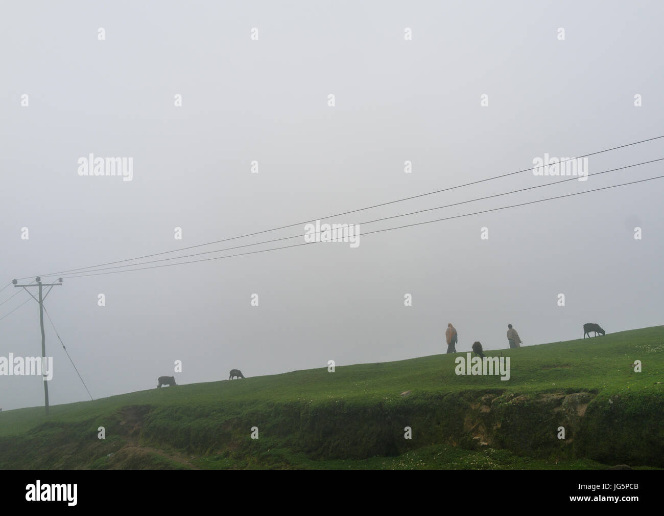 Foggy weather in the Dorze mountains, Gamo Gofa Zone, Gamole, Ethiopia ...