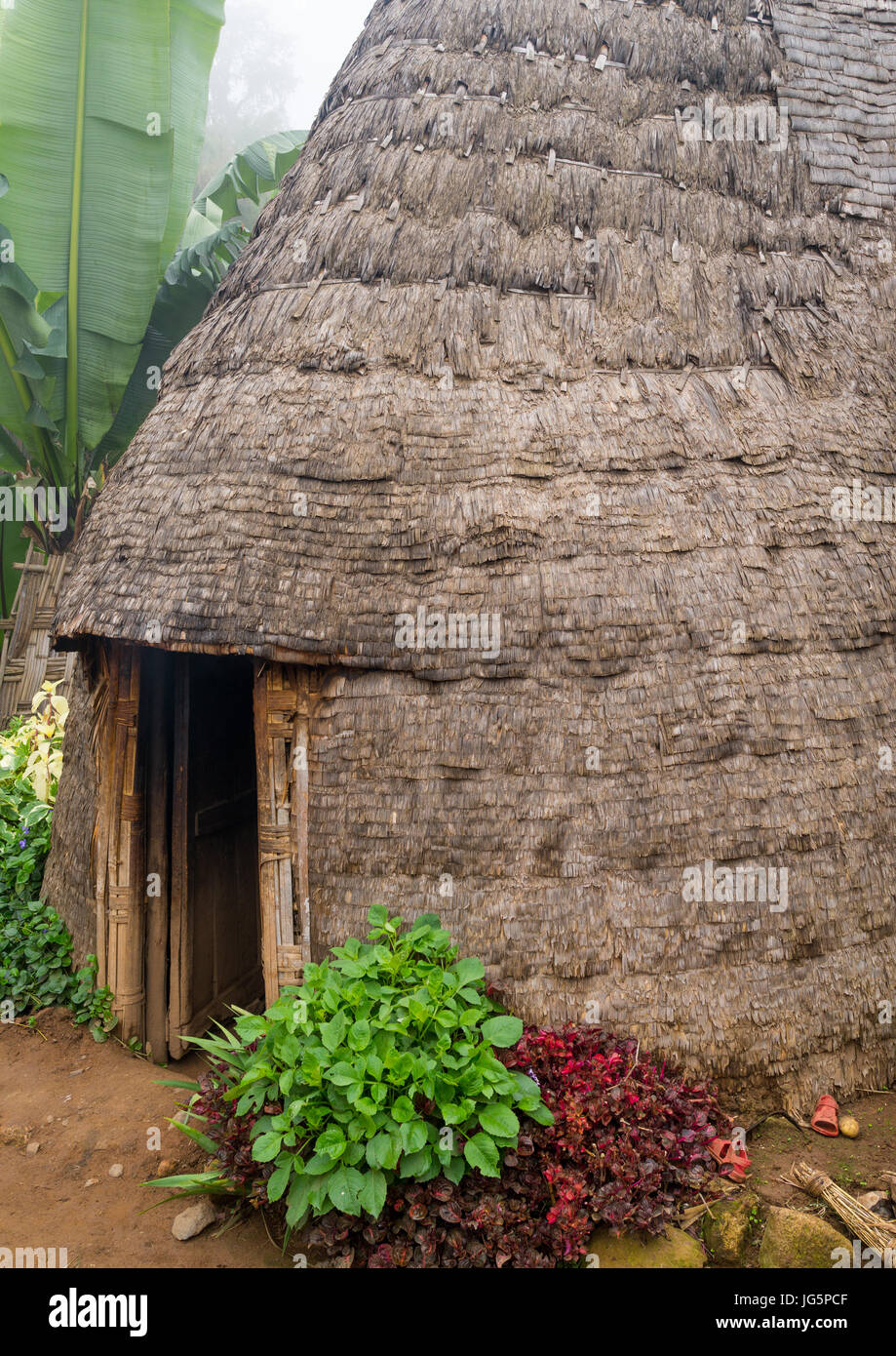 Traditional Dorze house made of bamboo and enset leaves, Gamo Gofa Zone ...