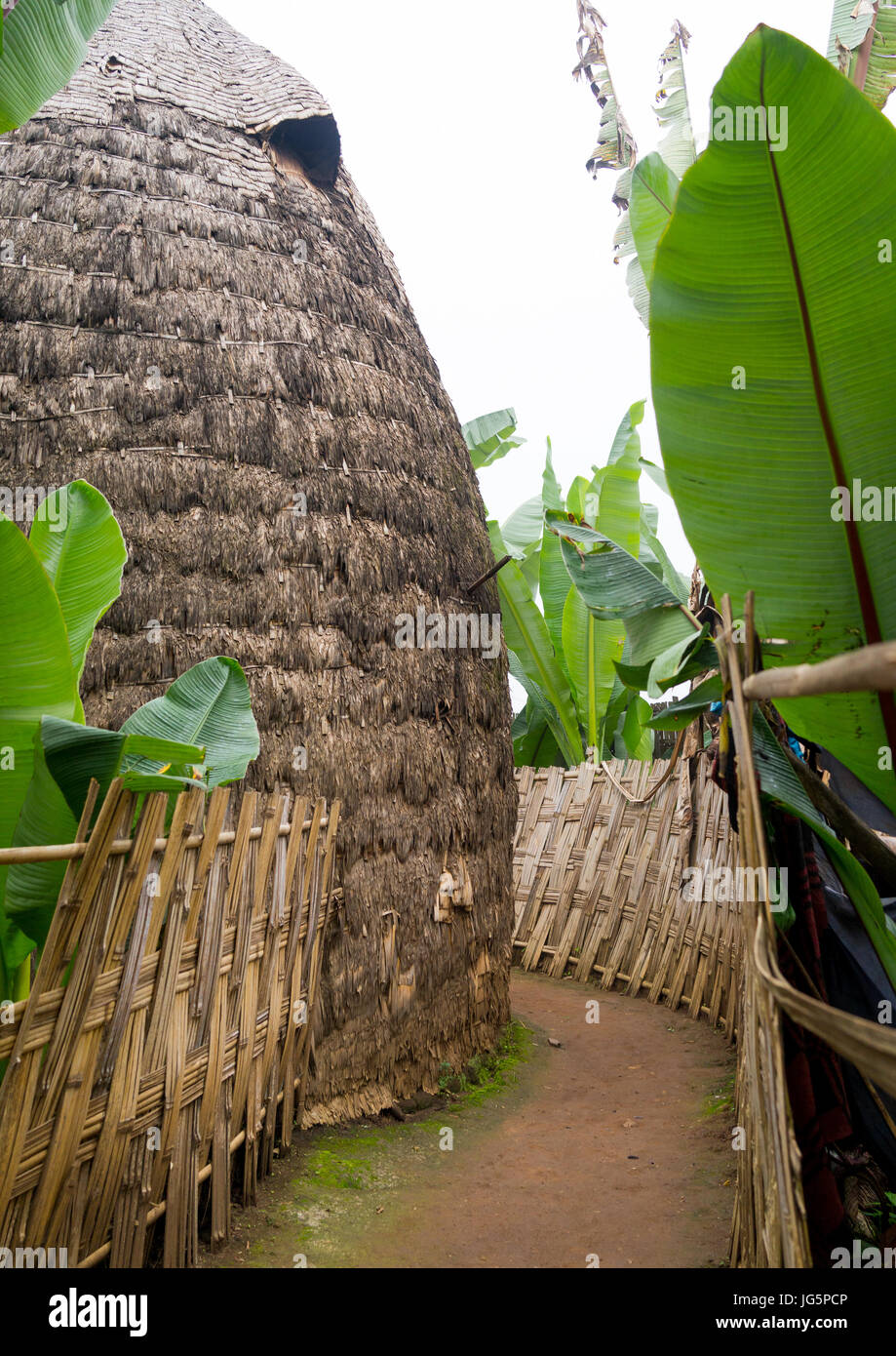 Traditional Dorze house made of bamboo and enset leaves, Gamo Gofa Zone ...
