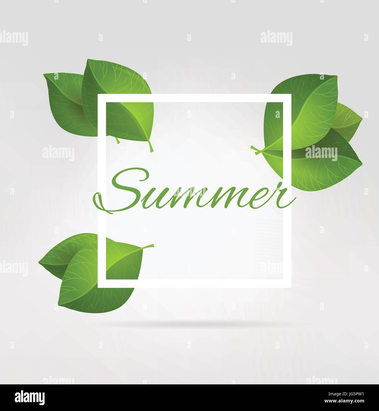 Border green leaves in Stock Vector Images - Alamy