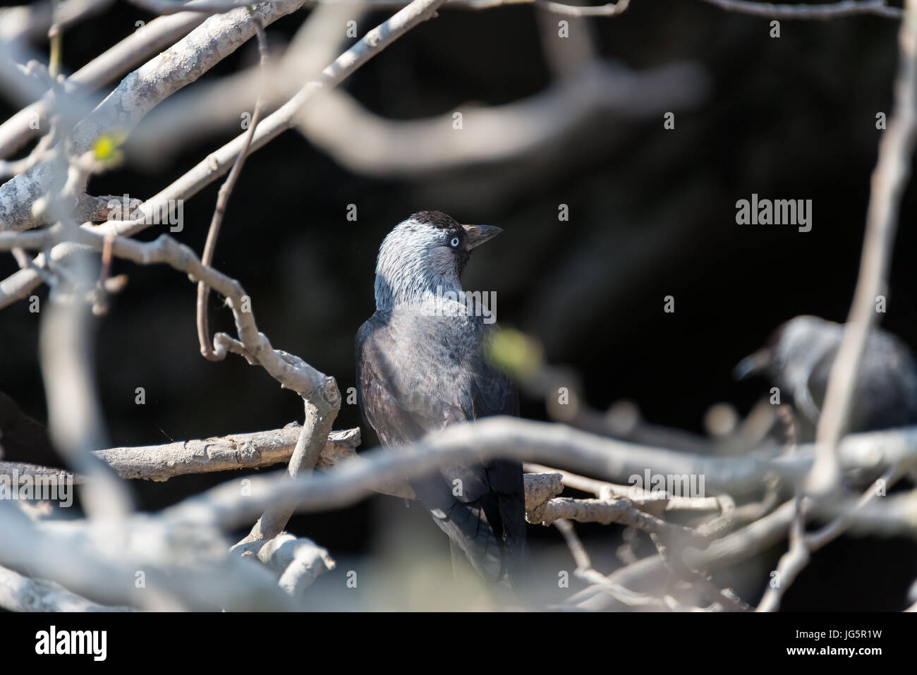 Midras ruins hi-res stock photography and images - Alamy
