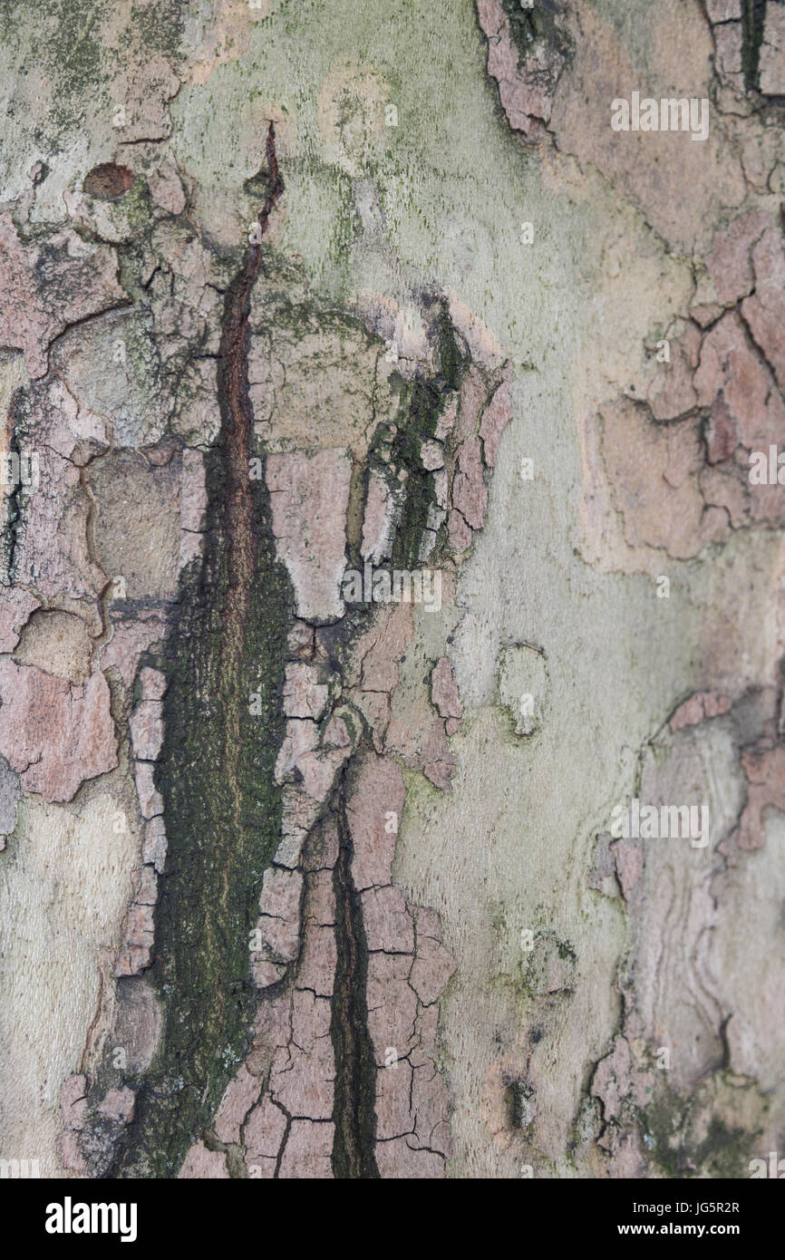 Deep fissure hi-res stock photography and images - Alamy