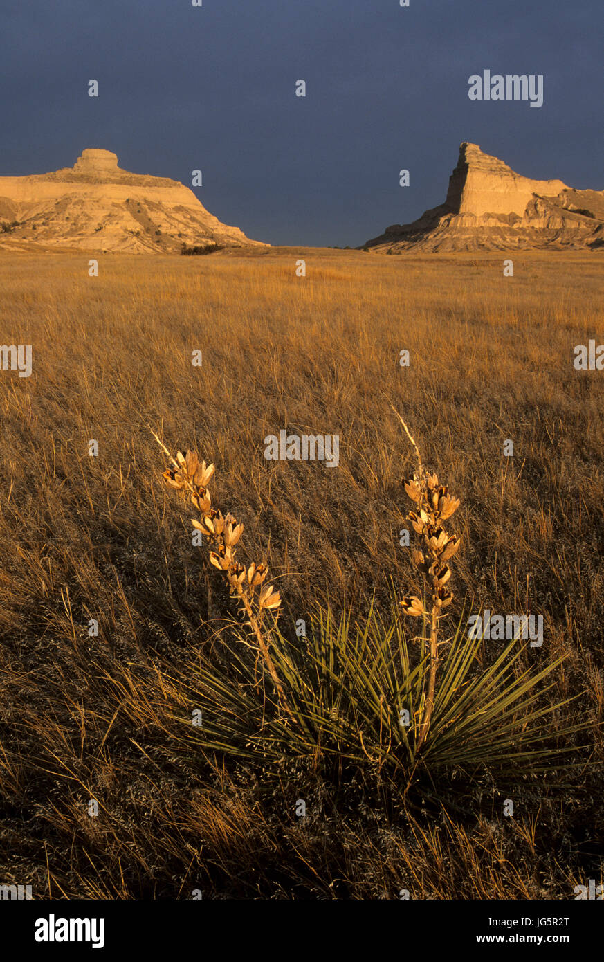 Mitchell Pass between Eagle and Sentinel Rocks with soapstone yucca ...