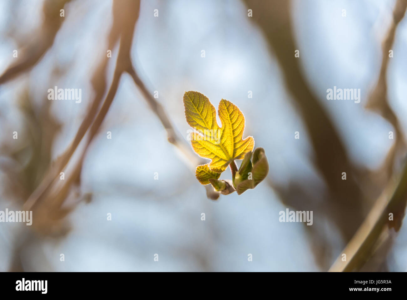 Midras ruins hi-res stock photography and images - Alamy