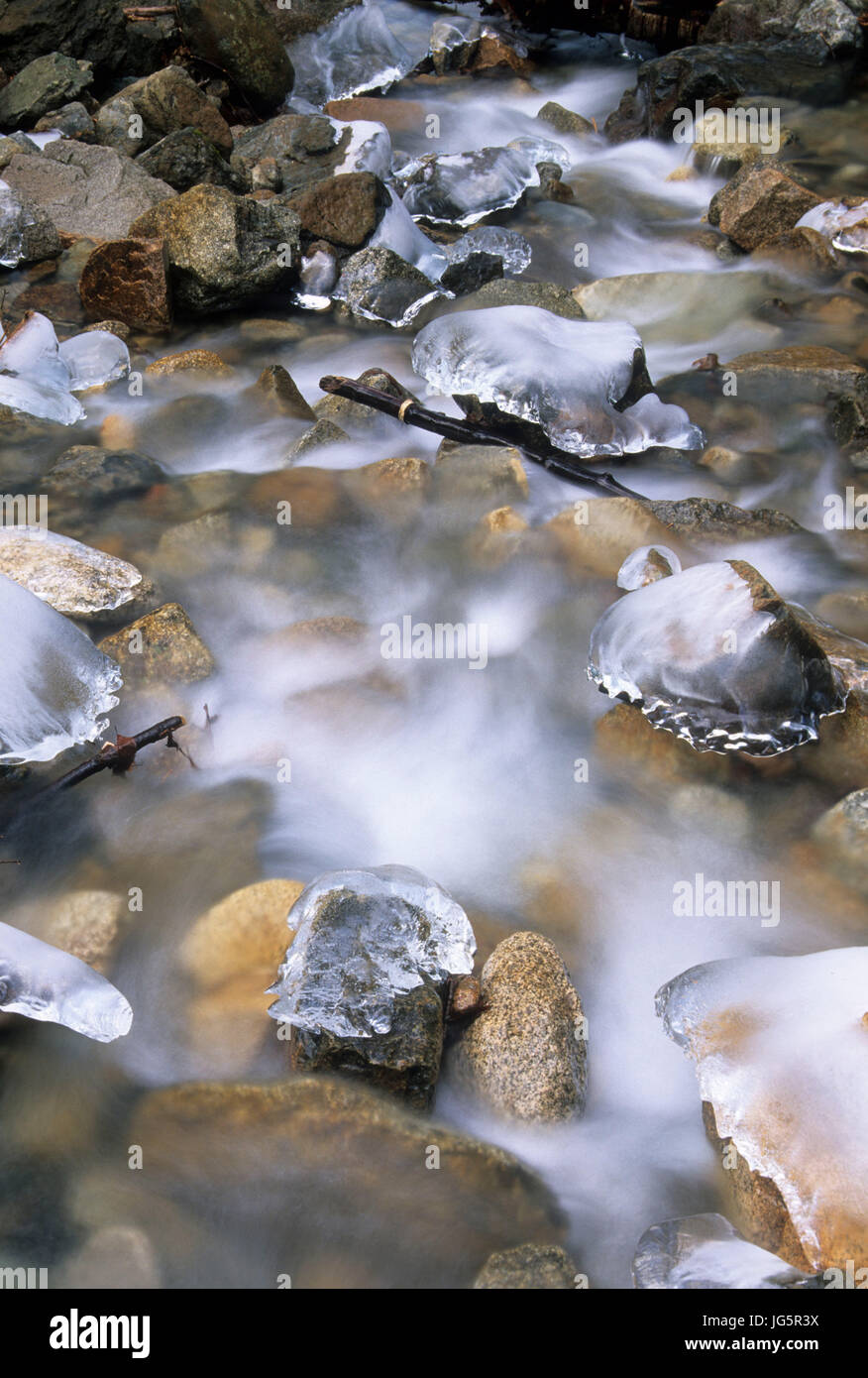 Dry Brook along Falling Waters Trail, Franconia Notch State Park, New ...