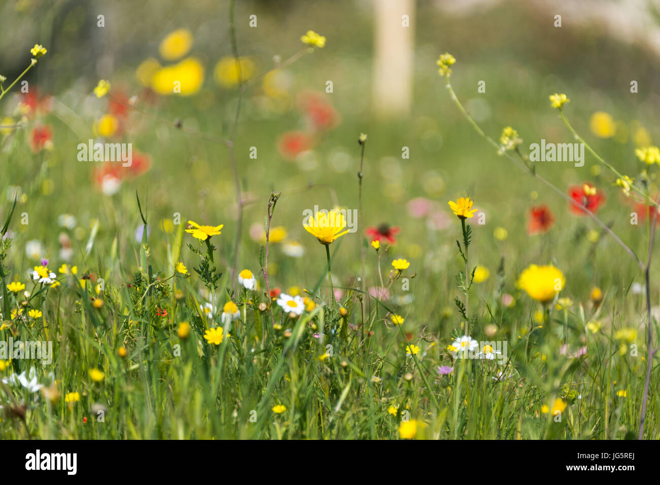 Midras ruins hi-res stock photography and images - Alamy