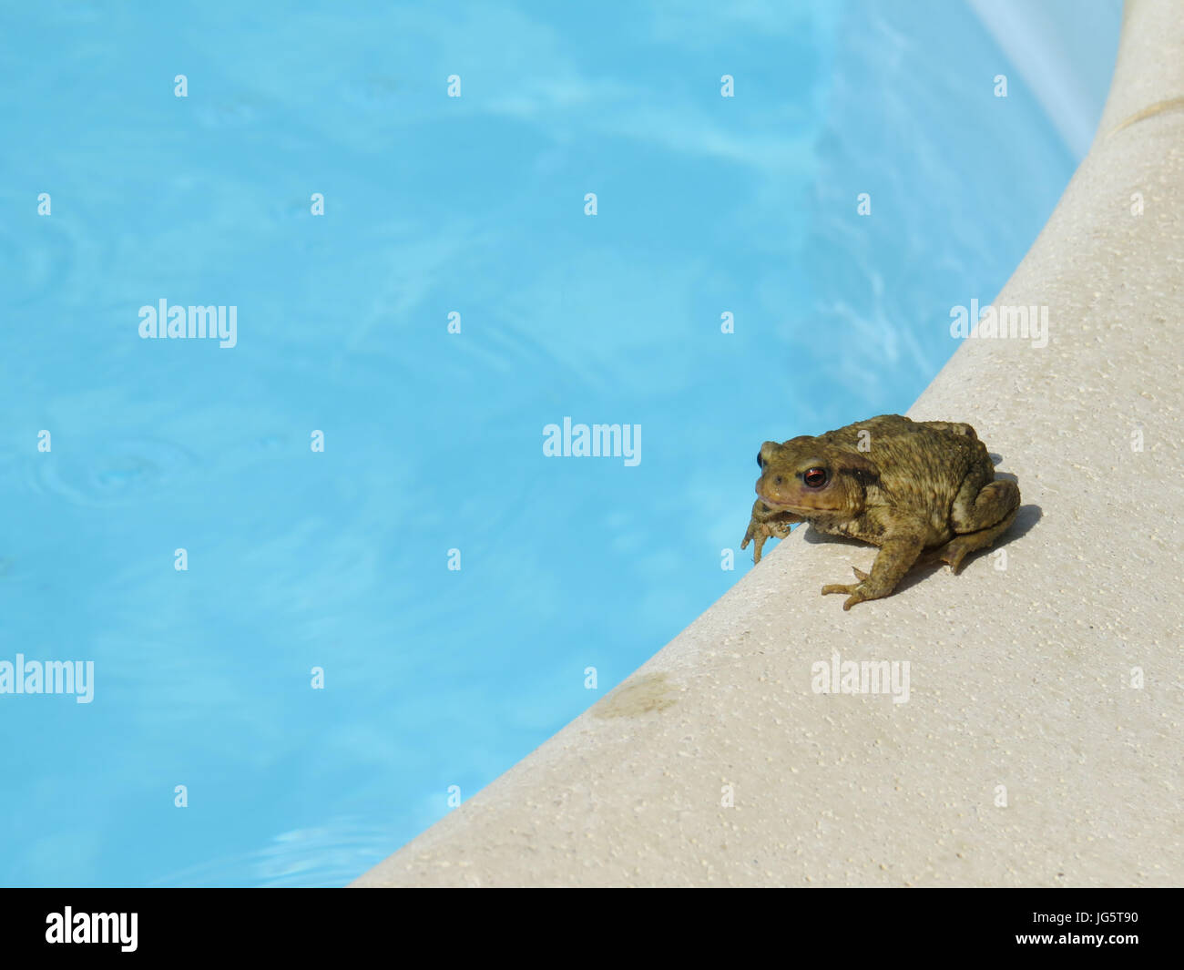 Swimming pool symbol hi-res stock photography and images - Alamy
