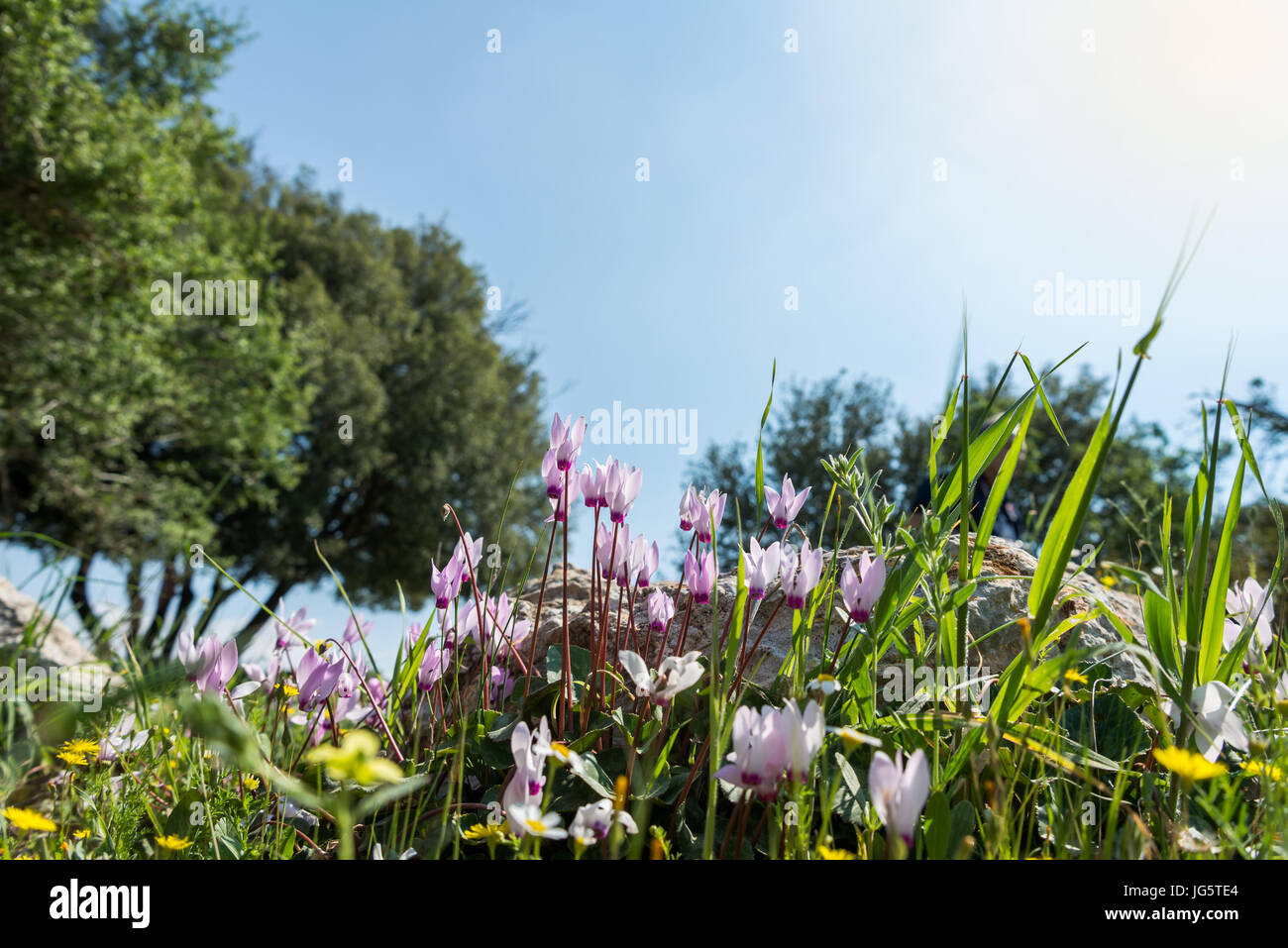 Midras ruins hi-res stock photography and images - Alamy