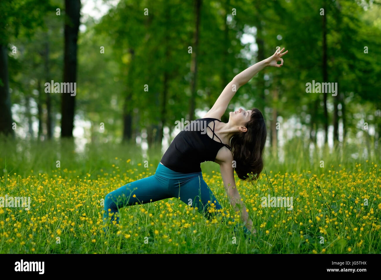 Yogi forest hi-res stock photography and images - Alamy