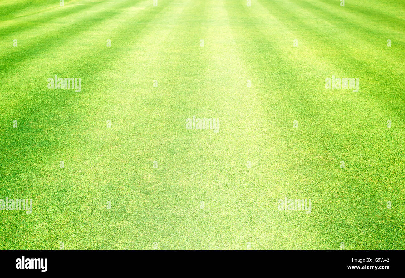 grass background Golf Courses green lawn pattern textured background ...