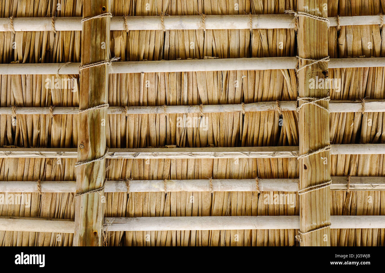 Dried grass hatch roof on the top of traditional cottage house. Close ...