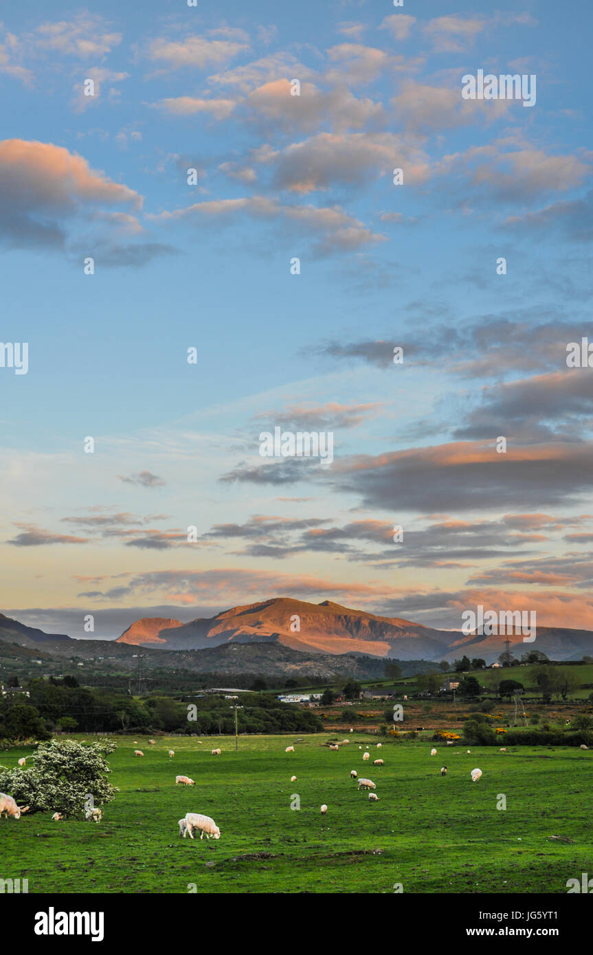 Snowdon Snowdonia North Wales UK Stock Photo - Alamy