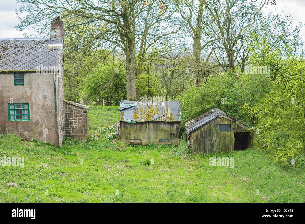 An old deserted cottage and run down sheds Stock Photo - Alamy