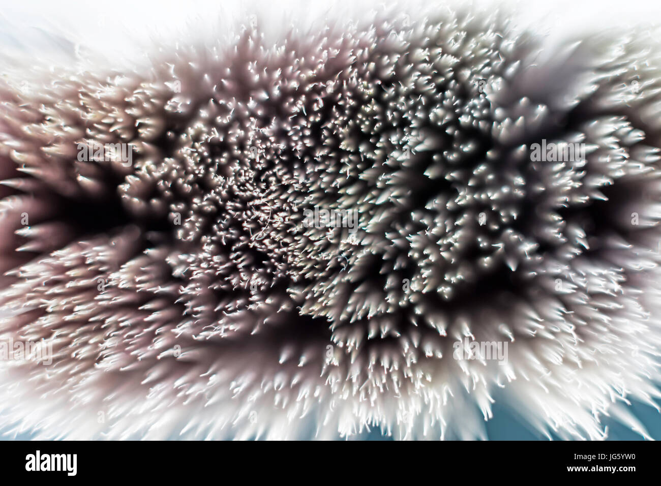 Painter brush bristles hi-res stock photography and images - Alamy