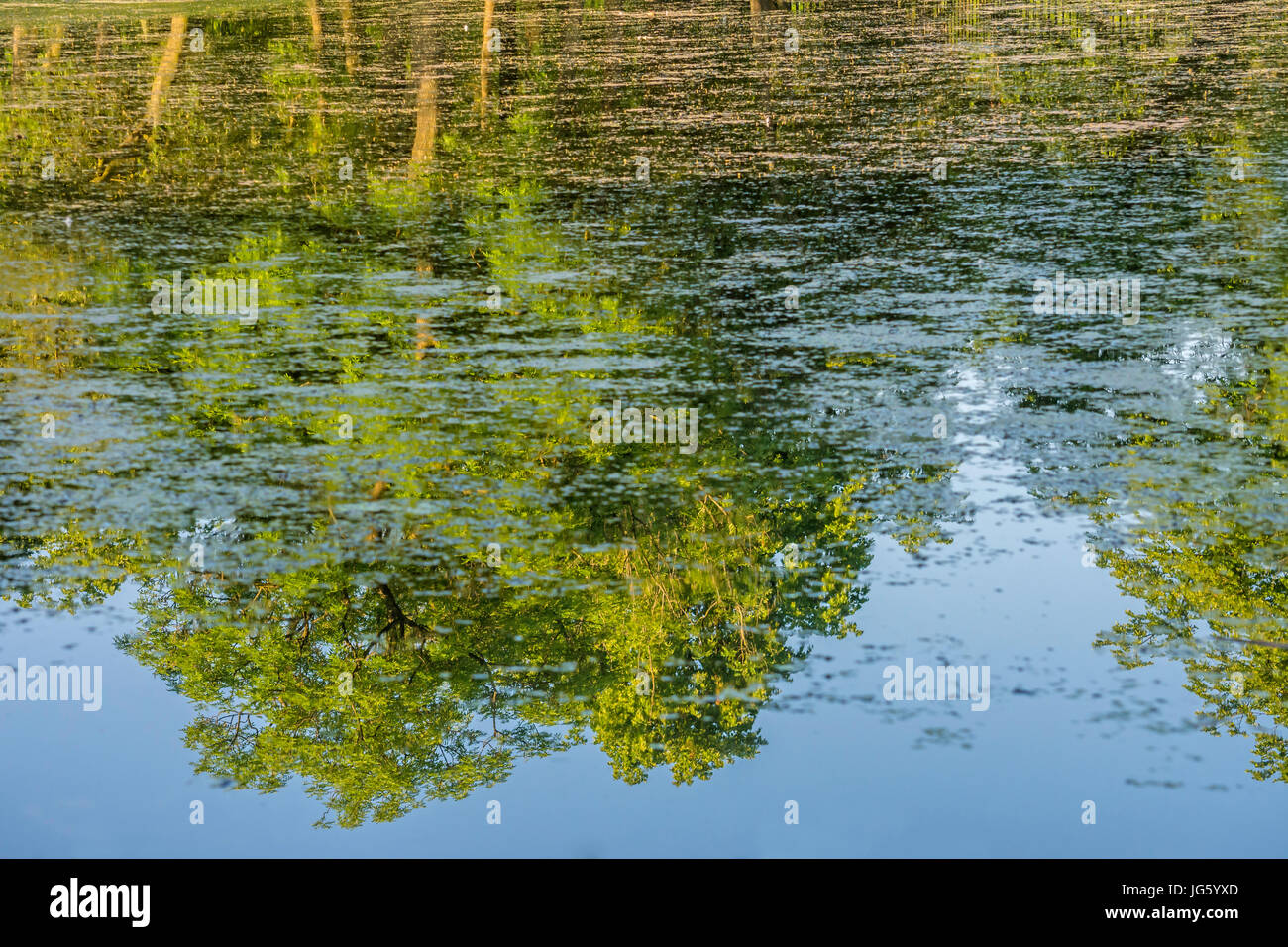 Sunrise water painting hi-res stock photography and images - Alamy