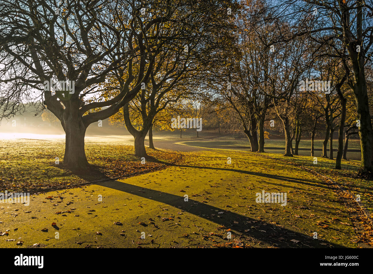 An early sunrise in autumn casting long shadows Stock Photo - Alamy