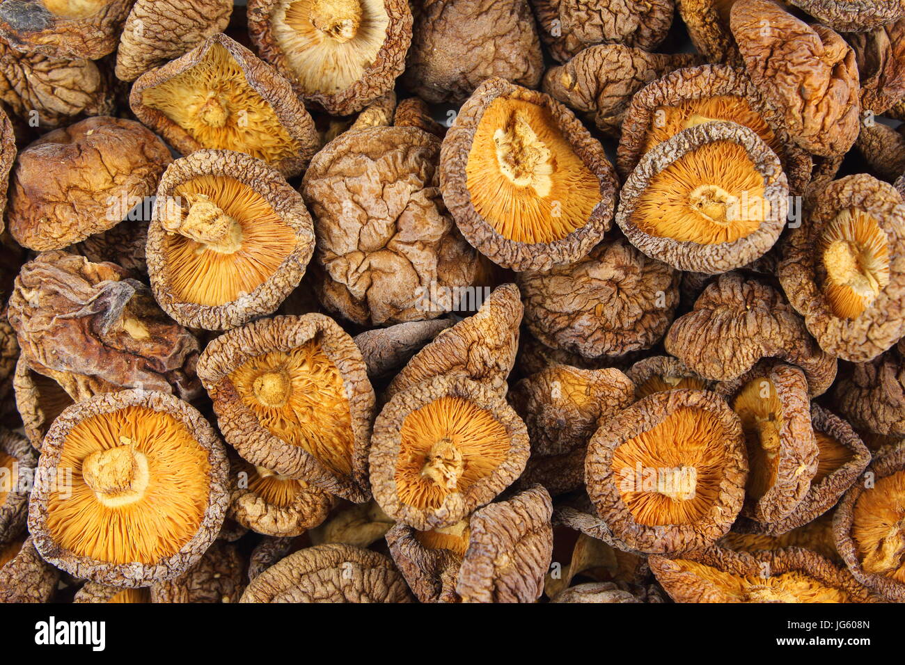 dried shiitake mushrooms closeup as a food background texture Stock ...