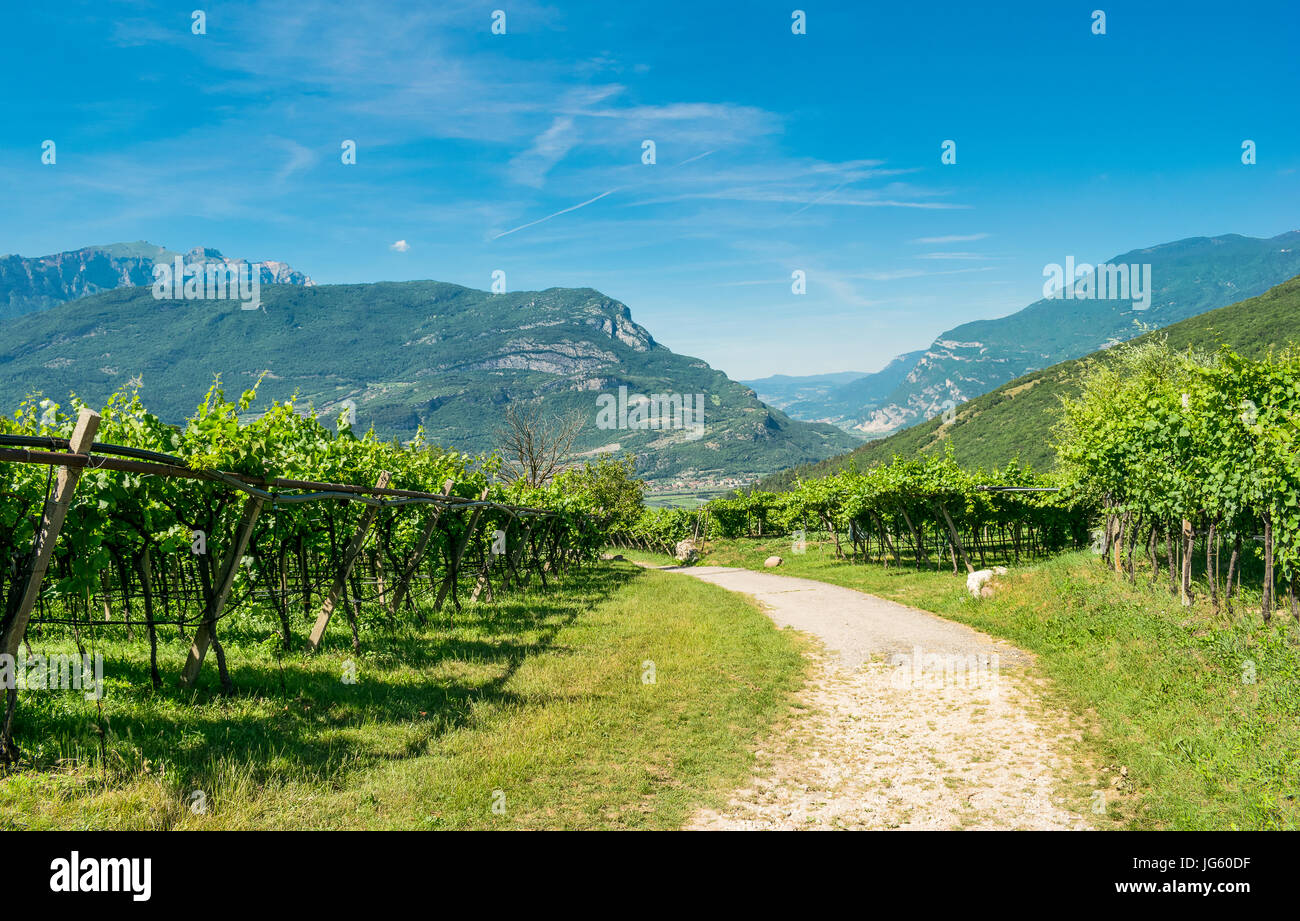 Hiking in Dolomites, Italy, Monte Bondone Stock Photo - Alamy