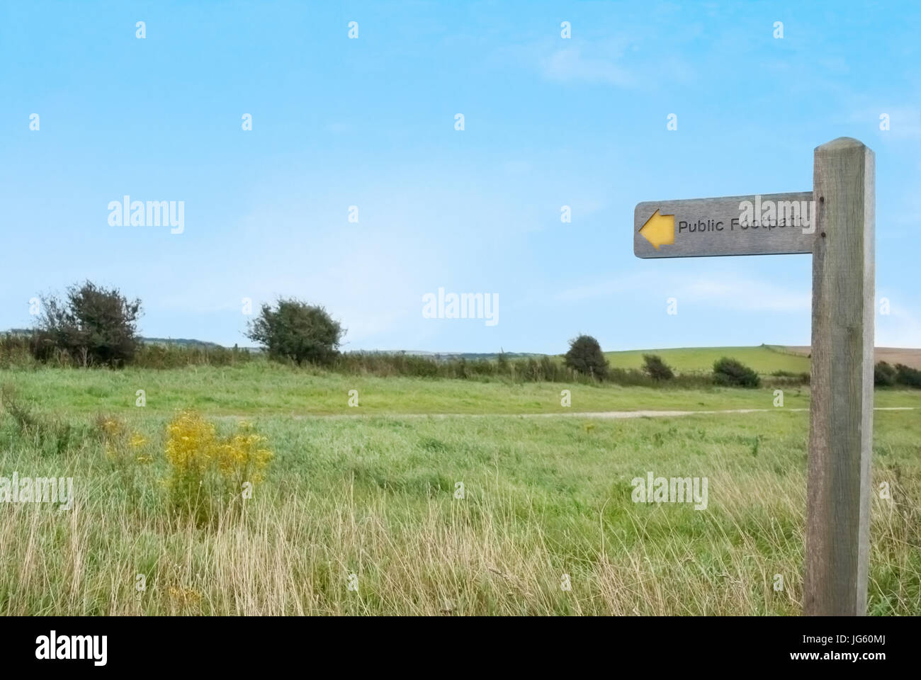 A countryside path under a bright blue sky, surrounded by grass, trees ...