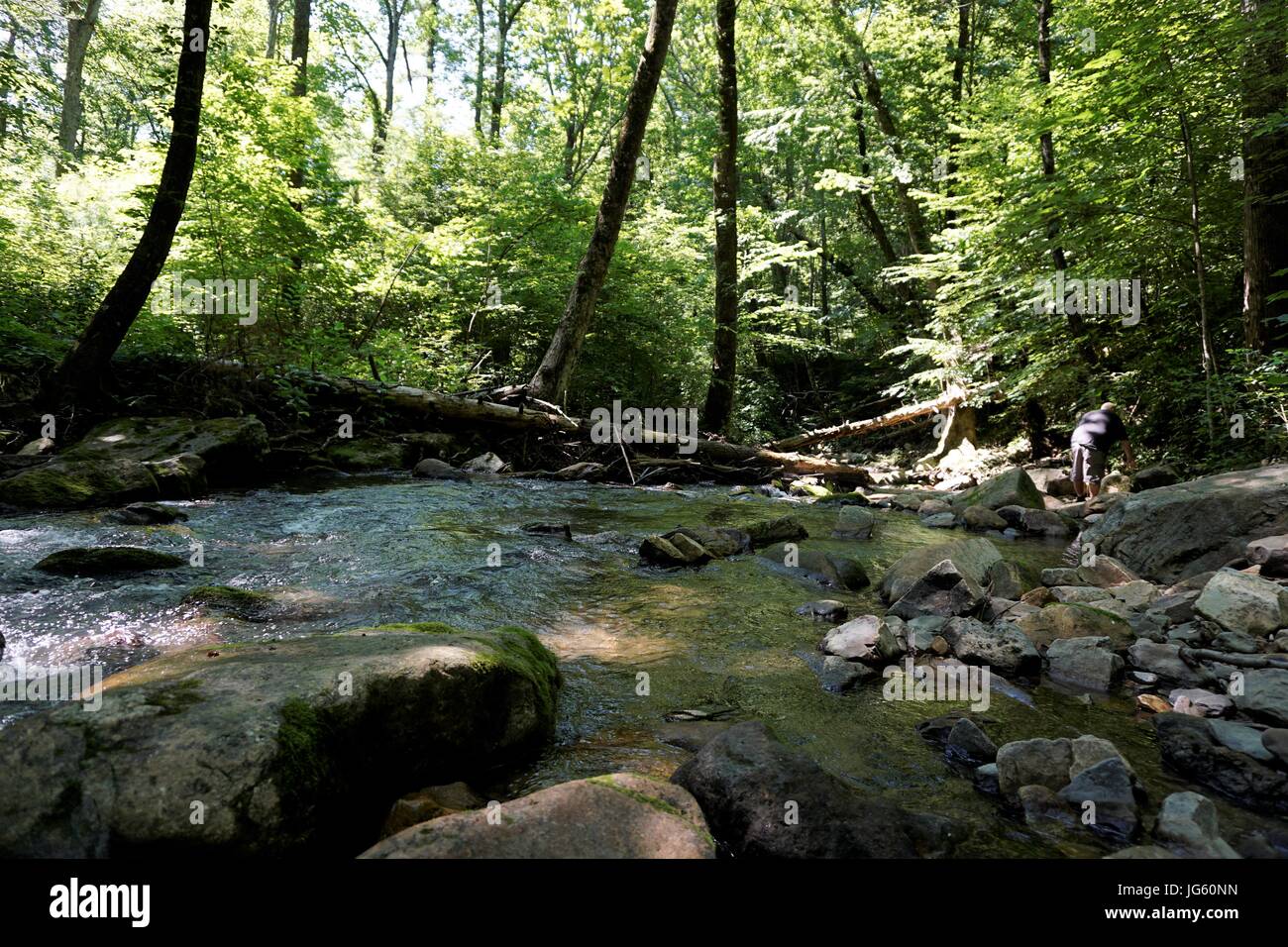 Low shot of stream Stock Photo - Alamy