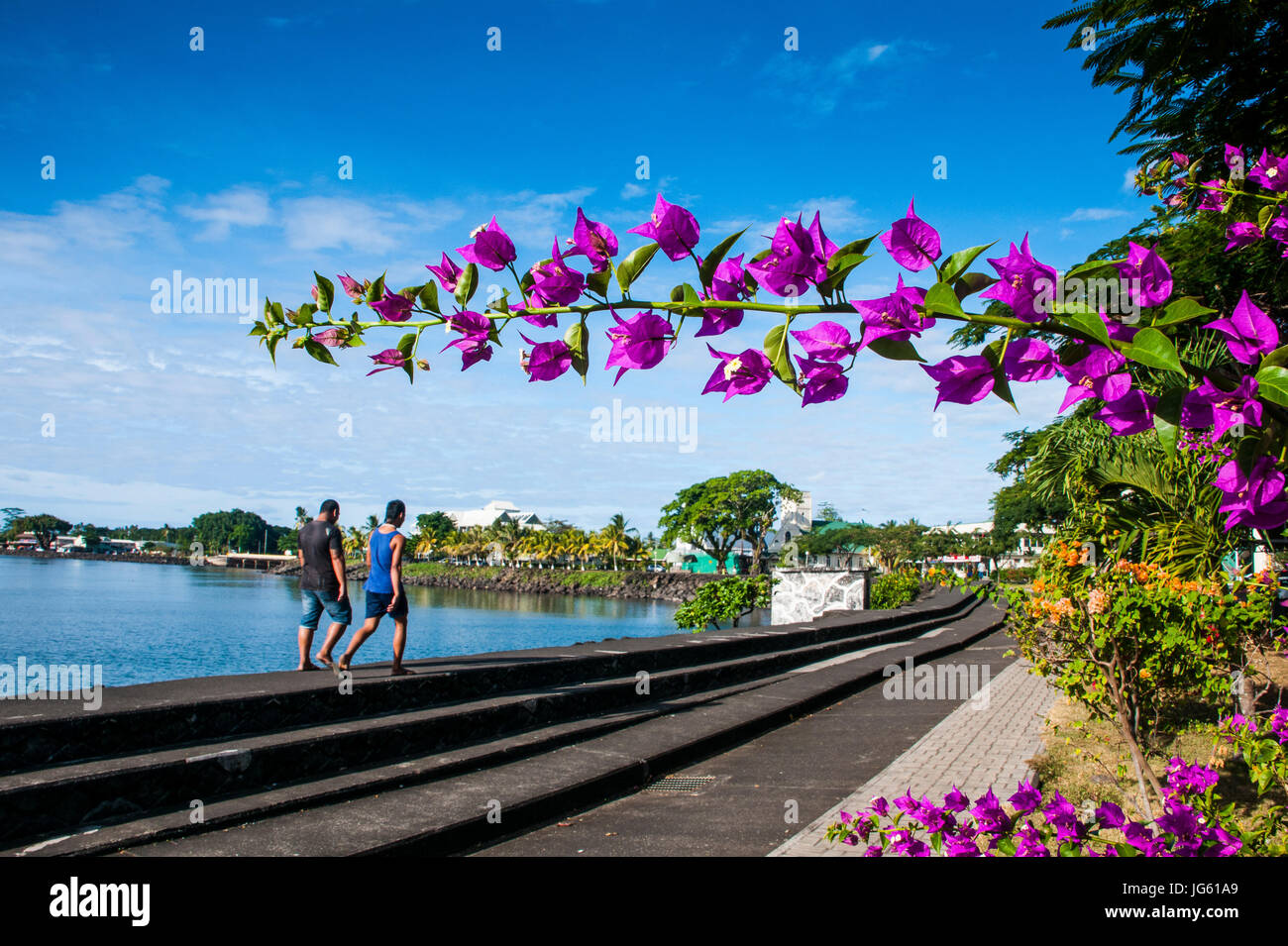 Bay of Apia, Upolo, Samoa, South Pacific Stock Photo - Alamy