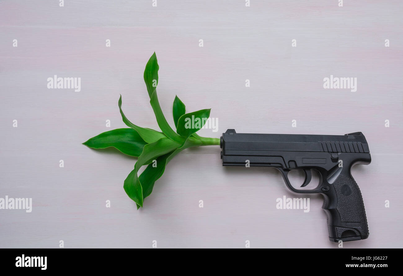 Handgun on wooden background with plant.War and peace full with hand ...