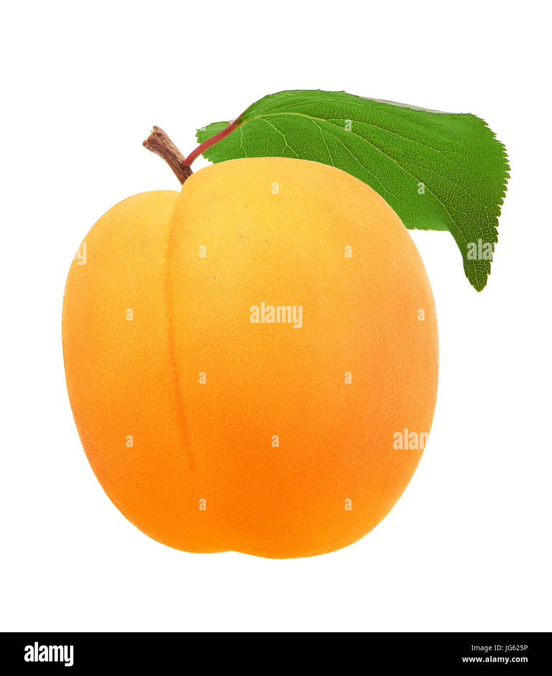 Whole fresh apricot fruit with green leaf isolated on white background ...