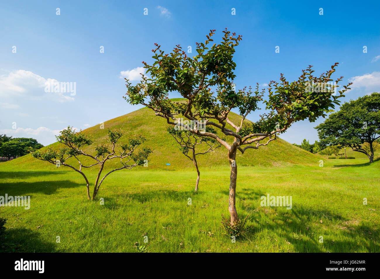 Tumuli park with its tombs from the Shilla monarchs in the Unesco world ...