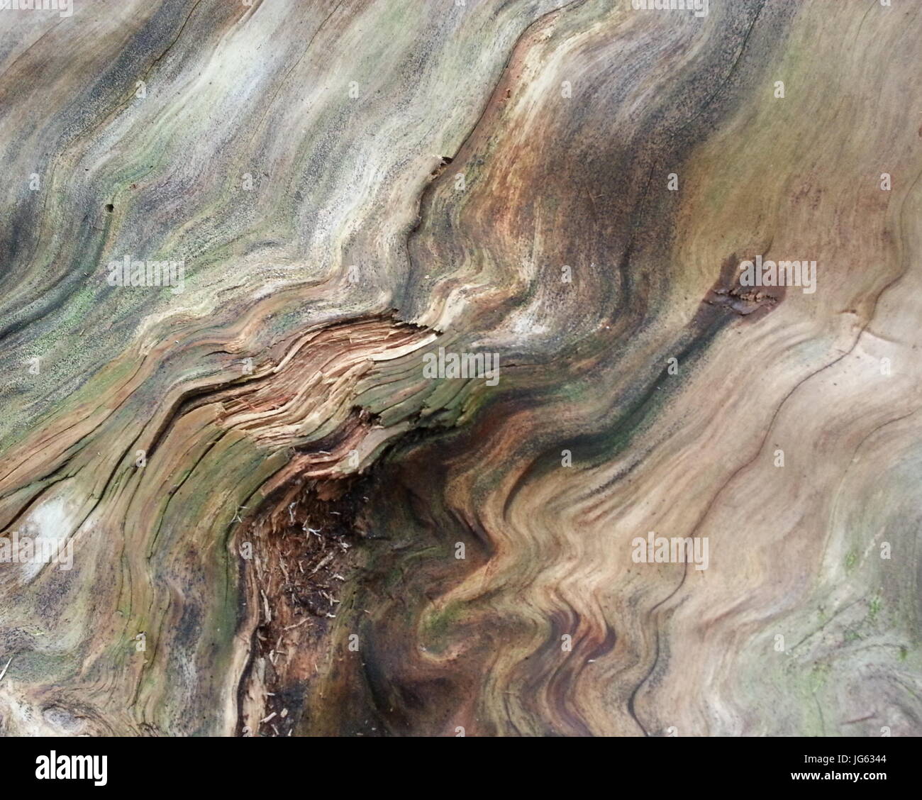 Unique Wood Texture Stock Photo - Alamy