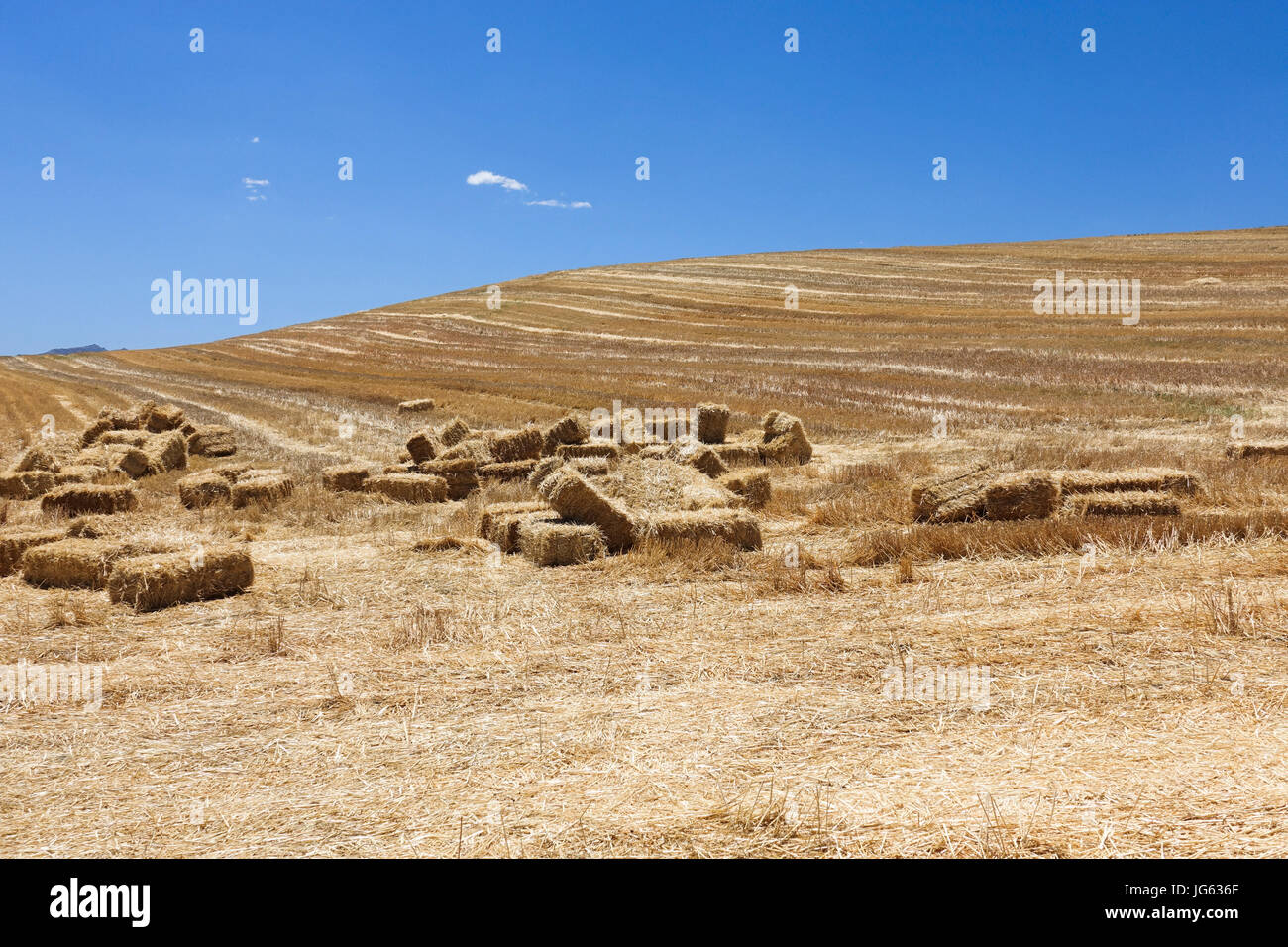 Hay bale bales haystack haystacks hi-res stock photography and images ...