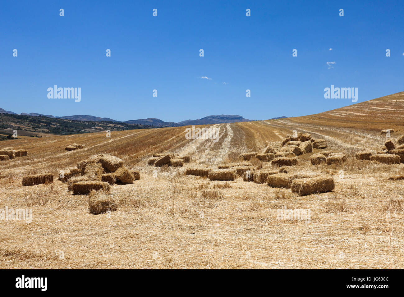 Haystacks hi-res stock photography and images - Alamy