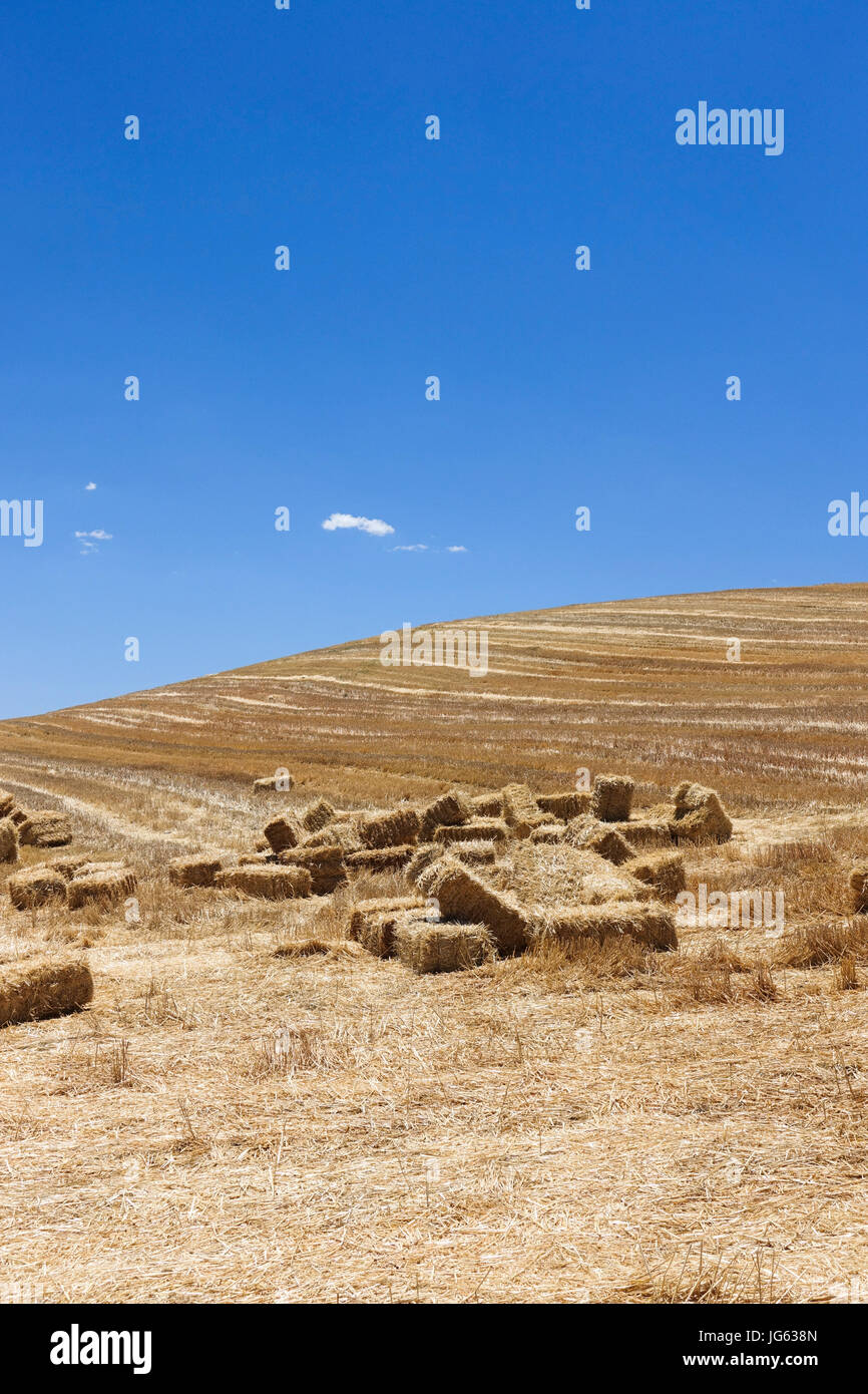 Hay bale bales haystack haystacks hi-res stock photography and images ...