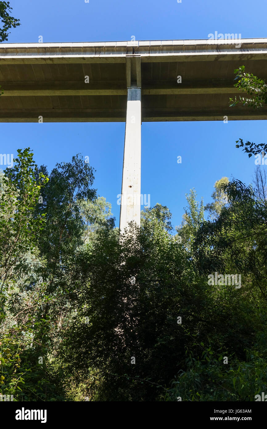 Bridge over forest hi-res stock photography and images - Alamy