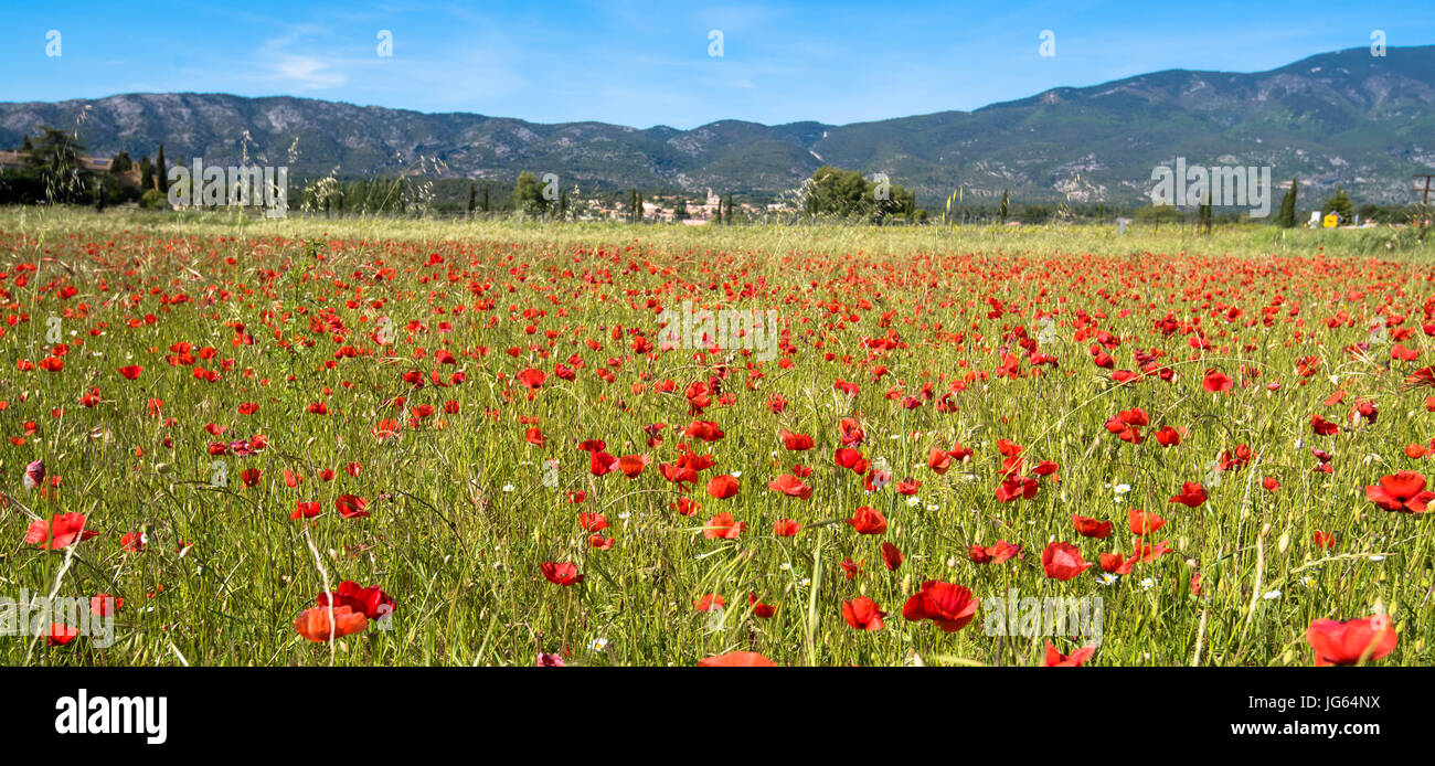 Poppy Field France Stock Photos & Poppy Field France Stock Images - Alamy