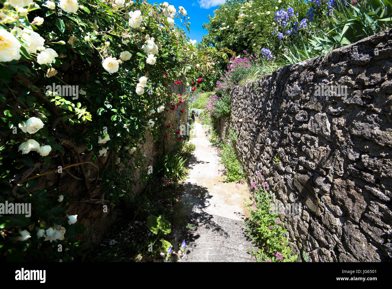 Provence spring france flowers hi-res stock photography and images - Alamy