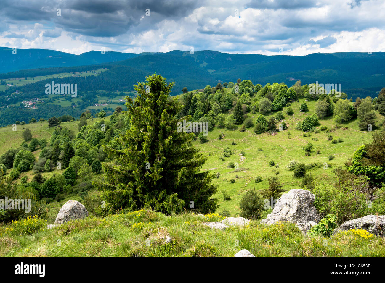 Alsace mountains hi-res stock photography and images - Alamy