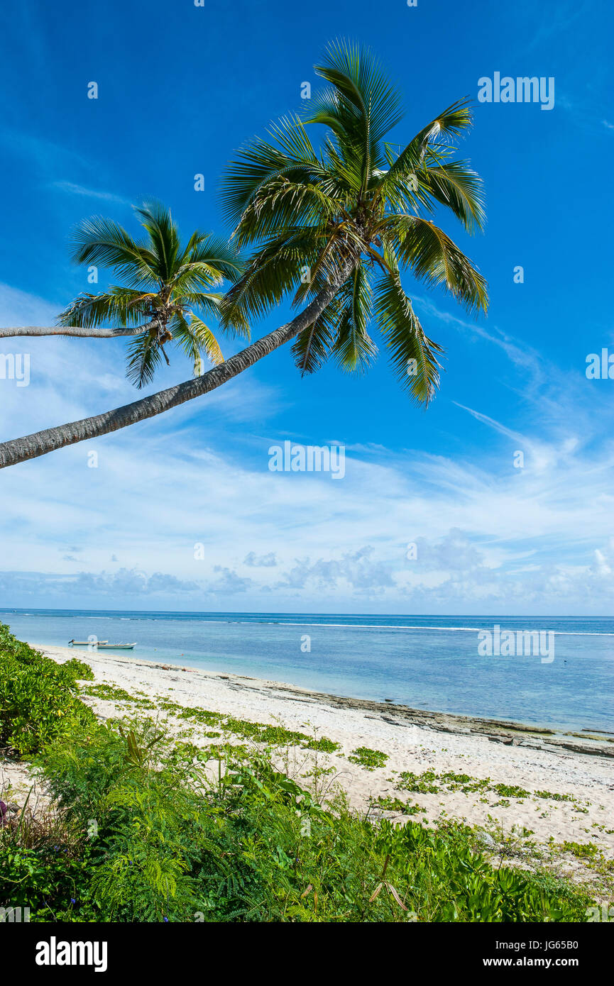 Palm fringed Kolovai beach,Tongatapu, Tonga, South Pacific Stock Photo ...